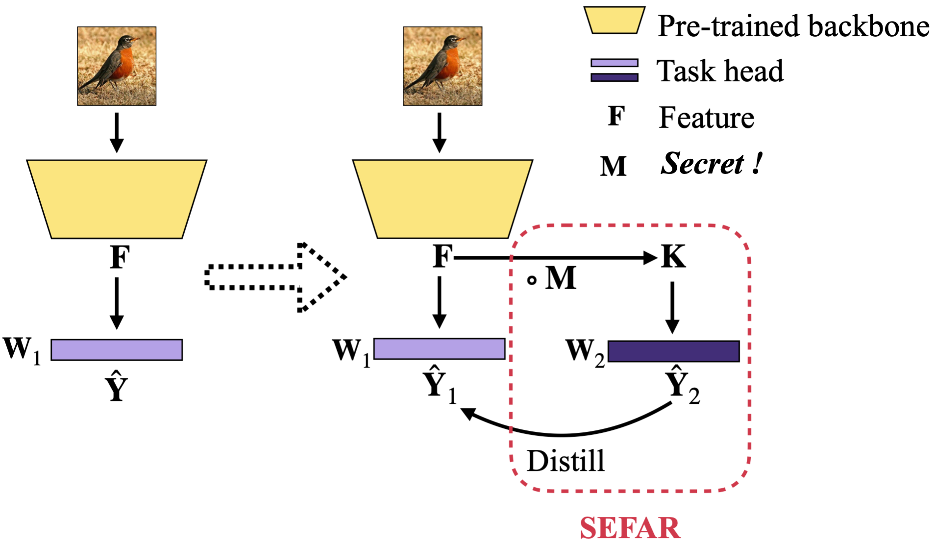 Regularization for Fine-tuning | Academic